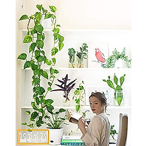 MDSOYOL Plant Climbing Wall Fixture Clips, (100pcs) Plant Fixer Self-Adhesive Hooks for Invisible Wall Vines Plant Fixation Plant Vine Traction Garden Vegetable Plant Binding (B-100 Pcs)