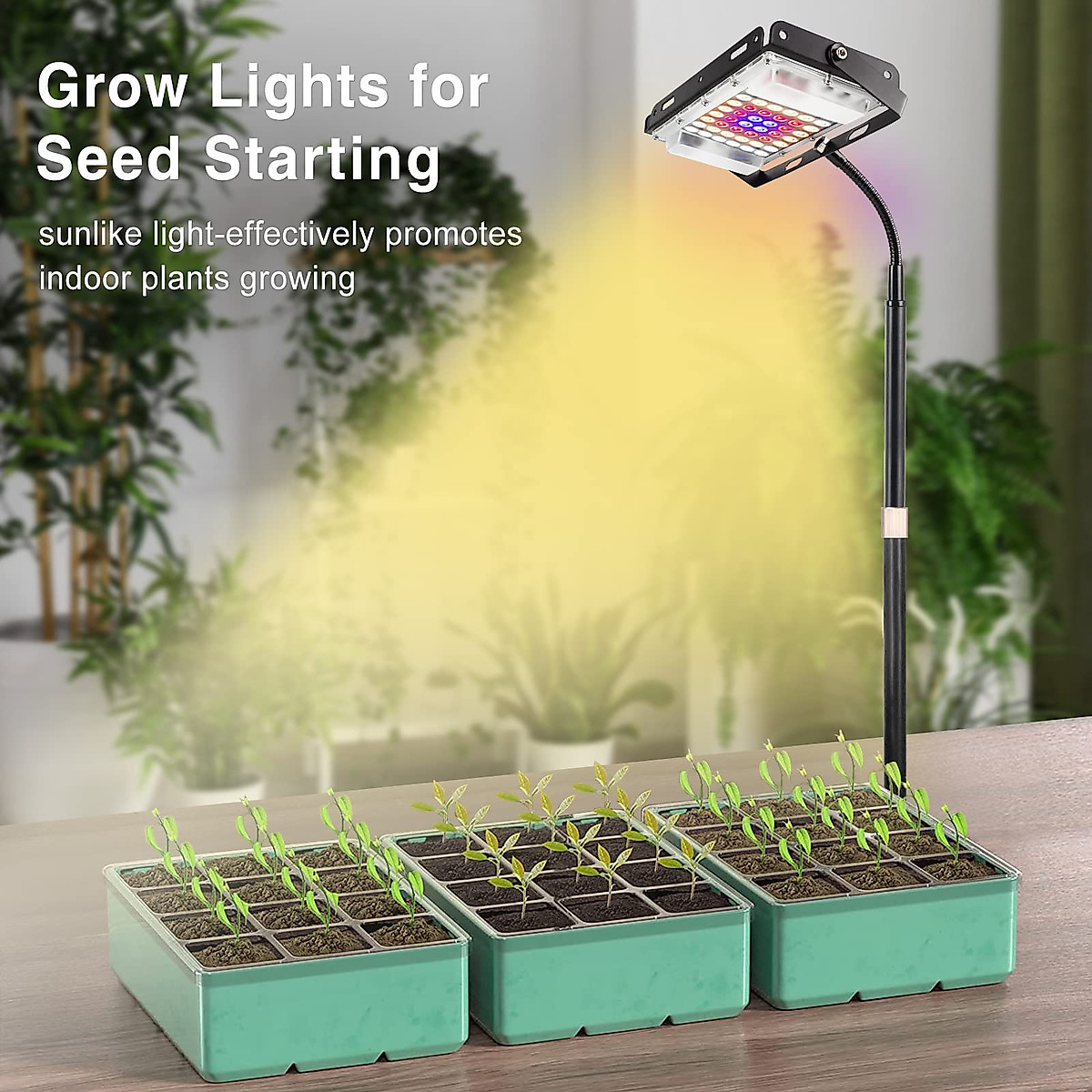 LBW Grow Light for Indoor Plants, Full Spectrum Desk LED Plant Light, Small Grow Lamp with 4H/8H/12H Timer, 6-Level Brightness, Height Adjustable, Flexible Gooseneck, Ideal for Indoor Growth