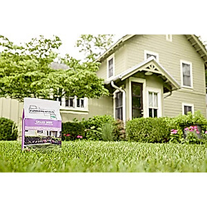 Fundamentals by Scotts Grass Seed Perennial Ryegrass Mix, Ideal for Sunny, High Traffic Areas and Erosion Control, 3 lbs.