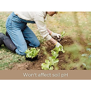 Southside Plants 1 lb Gypsum - Natural Mineral Calcium Sulfate Dihydrate Powder - Garden Soil Amendment Fertilizer for Lawns & Plants - Calcium Sulfate Soil Conditioner - 100% Water Soluble 16 oz