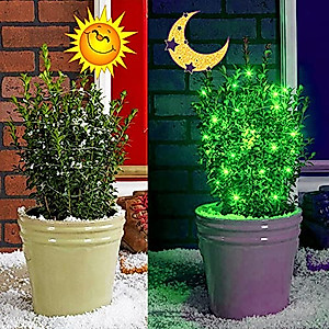 kemooie 2 Packs Solar String Lights, 100 LED 33FT 8 Twinkle Modes Green Solar Powered Fairy Lights, Waterproof for Outdoor, Tree, Garden, Christmas Decorations (Green)