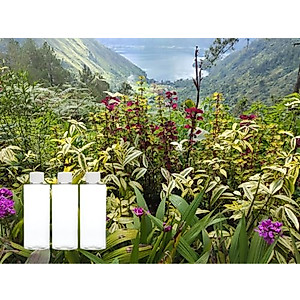 Cadet Home Solutions USA-Made Refillable Bottles (Plastic Screw-Top 3pack 4oz)