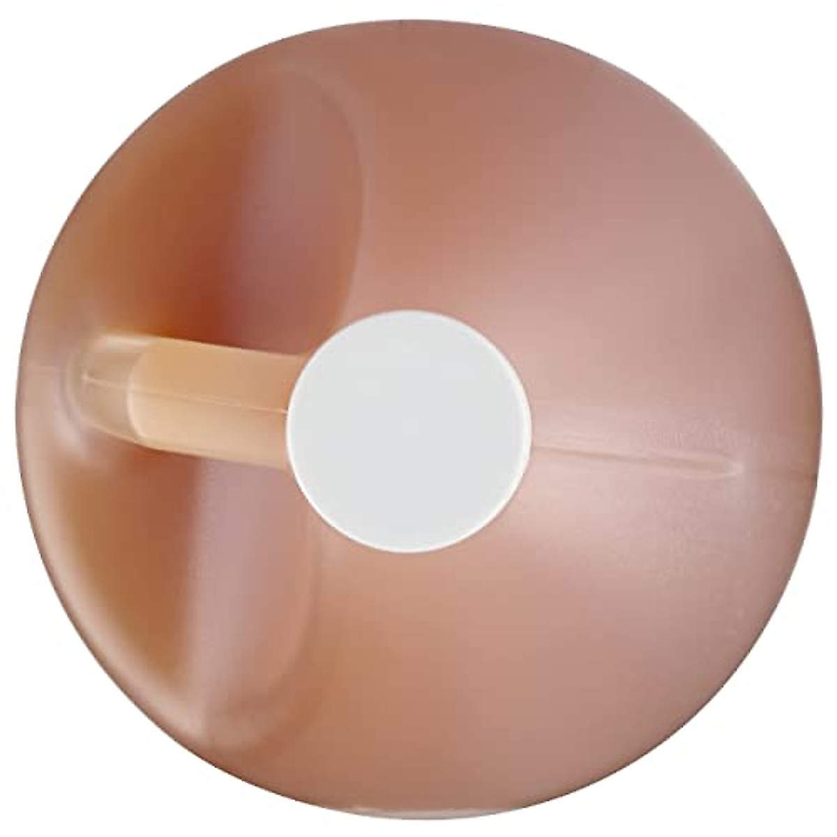 Bragg Organic Apple Cider Vinegar With the Mother– USDA Certified Organic – Raw, Unfiltered All Natural Ingredients, 1 Gallon