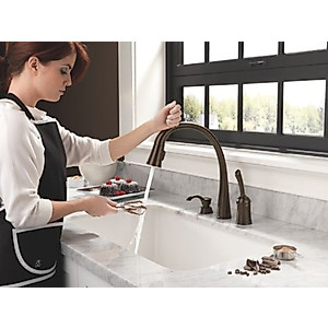 Delta Faucet Pilar Kitchen Soap Dispenser for Kitchen Sinks, Venetian Bronze RP50781RB
