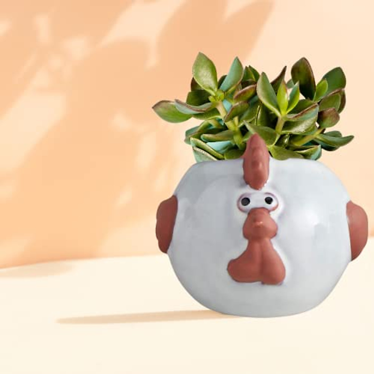 Needzo Round Succulent Planter Farmhouse Chic Ceramic Pig Shaped Plant Holder, Home Garden Office Desktop Decoration Small Flower Pot, 2.8 inches