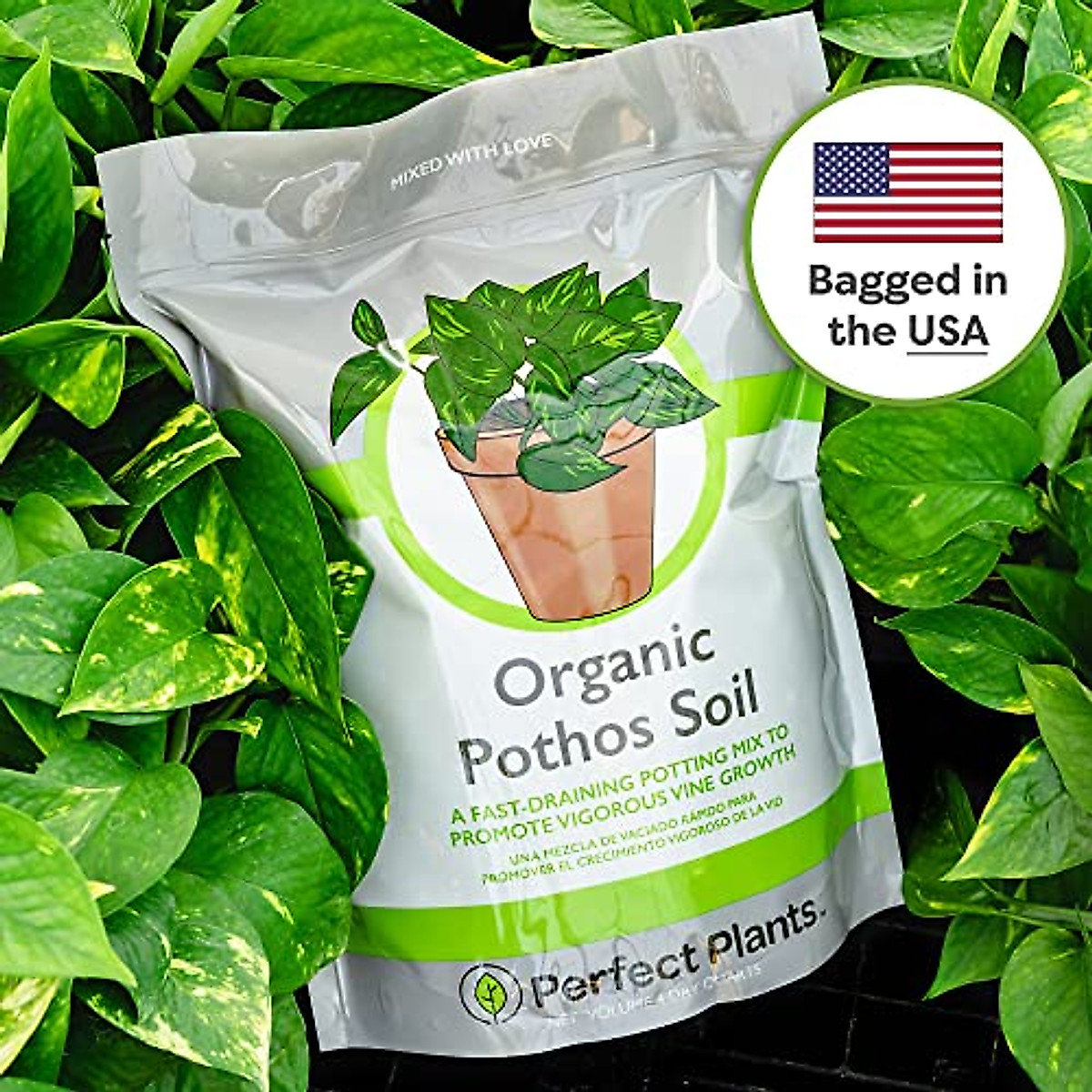 Perfect Plants Organic Pothos Soil | Horticultural Potting Mix for All Indoor Potted Pothos | Grow Healthy houseplants Indoors (4qts.)