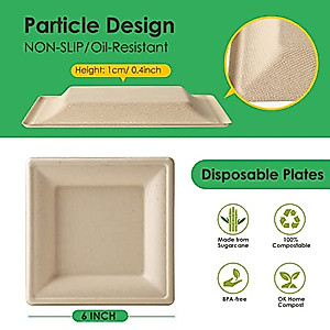 Gezond Compostable Square Plates 6 Inch 50 Pack Disposable Paper Plates Sugarcane Cake Plates for Party Unbleached Eco-friendly Salad Plates