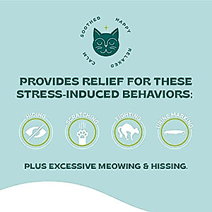 bSerene Pheromone + Catnip Calming Solution for Cats 60ml Spray Works Fast to Help Reduce Hiding, Scratching, Fighting, Marking, Stress, Anxiety at-Home or Travel Vet, Thunder, Fireworks (440223)
