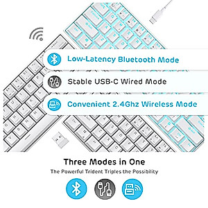 RK ROYAL KLUDGE RK61 Wireless 60% Triple Mode BT5.0/2.4G/USB-C Mechanical Keyboard, 61 Keys Bluetooth Mechanical Keyboard, Compact Gaming Keyboard with Software (Hot Swappable Blue Switch, White)