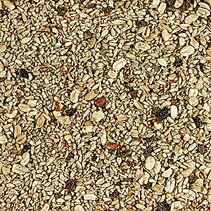 Kaytee Waste Free Nut and Raisin Blend, 5-Pound