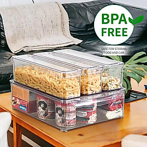 Homics Set of 10 Refrigerator Freezer Organizer Bins, Stackable Organization and Storage Containers for Food, Fruits, Vegetable, Pantry, Clear Containers with Lids BPA Free