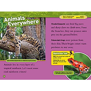 Rainforests (National Geographic Kids Readers, Level 2)