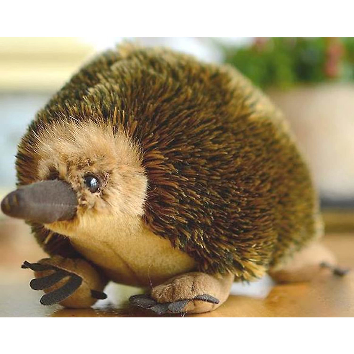 TAMMYFLYFLY Lifelike Echidna Plush Stuffed Animal Toy Echidna Animal Model (20CM)