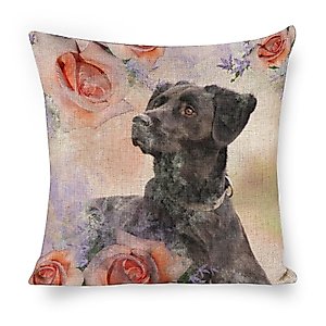 Dog Black Lab Labrador Throw Pillow Covers 18X18 Pillow Cushion Cases, Modern Decorative Square Pillowcases for Sofa Couch Bedroom Living Room Car