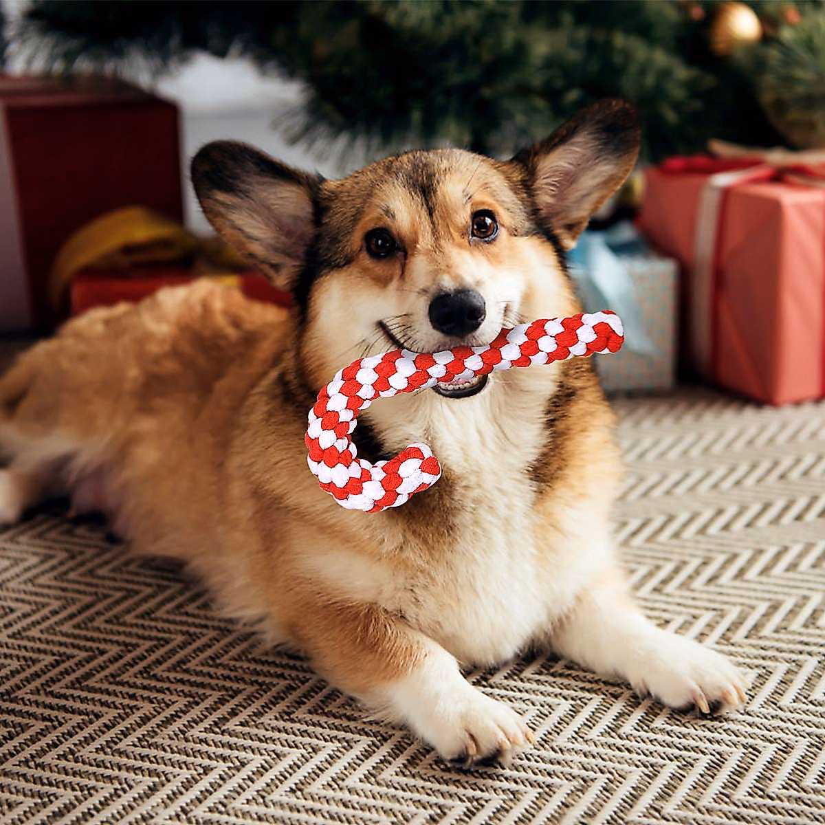 POPETPOP Christmas Dog Toys 3 Pcs, Dog Teeth Cleaning Rope Toy, Durable Dog Chew Ball and Santa Squeaky Plush Dog Toy for Small Dogs and Puppy - Xmas Dog Toy