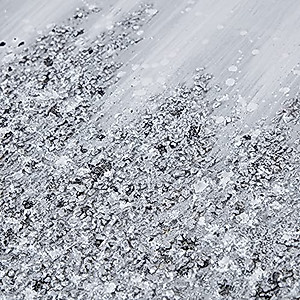 Madison Park Wall Art Living Room Decor-Embellished Hand Painted Metallic Canvas, Home Accent Glitter Abstract Bathroom Decoration Ready to Hang Bedroom Painting, Each 22"W x 28"H x 1.5"D, Silver, 2 Piece Set