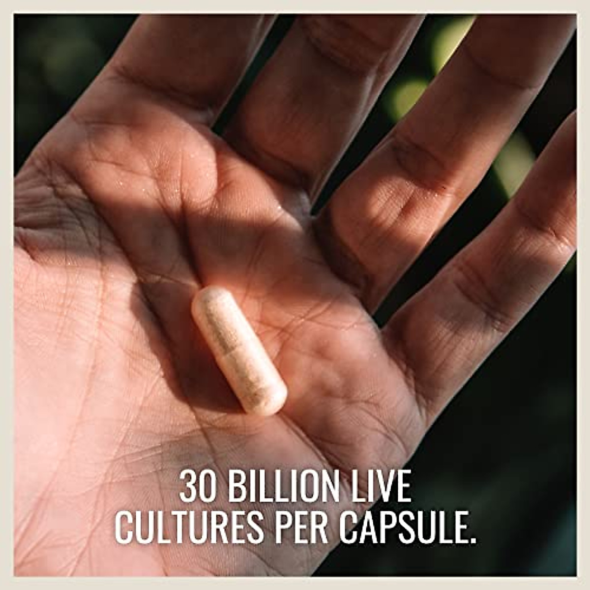 Nature's Way Fortify Daily Probiotic + Prebiotic for Men and Women, 30 Billion Live Cultures, Digestive and Immune Health Support* Supplement, 30 Capsules