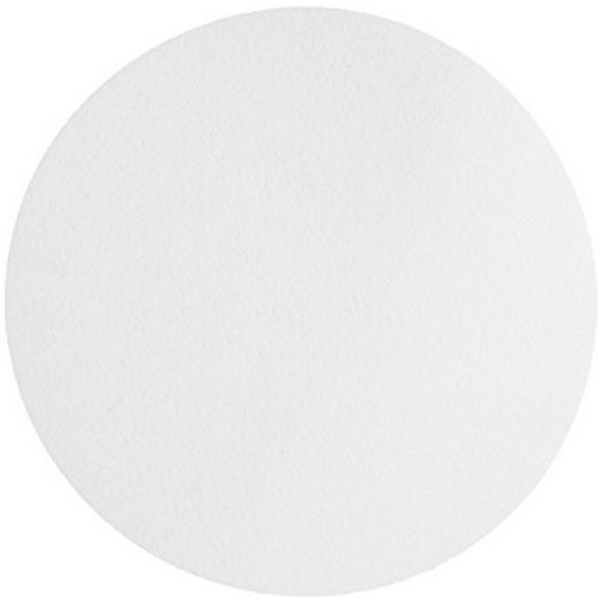 Omicron 133047 Borosilicate Glass Fiber Binder Free Filter, 1.2 μm, 47 mm (Pack of 100)