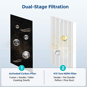 Fil-fresh C545 Replacement Filter S, Compatible with Winix C545 Air Purifier, Includes 2 True HEPA Filter and 8 Activated Carbon Filters, Replaces Part 1712-0096-00