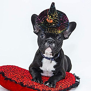 BESTOYARD Halloween Witch Hat Spider Web Pumpkin Pattern Mini Pet Hat Cat Dog Hat Party Cosplay Costume (Star Pumpkin)