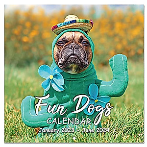 2023-2024 Wall Calendar - Cute Puppies Wall Calendar 2023-2024, Fun Dogs Wall Calendar, Jan. 2023 - Jun. 2024, 12'' x 12'' (Closed), 12'' x 24'' (Open), Dog Calendar, Hanging Hole, Holidays