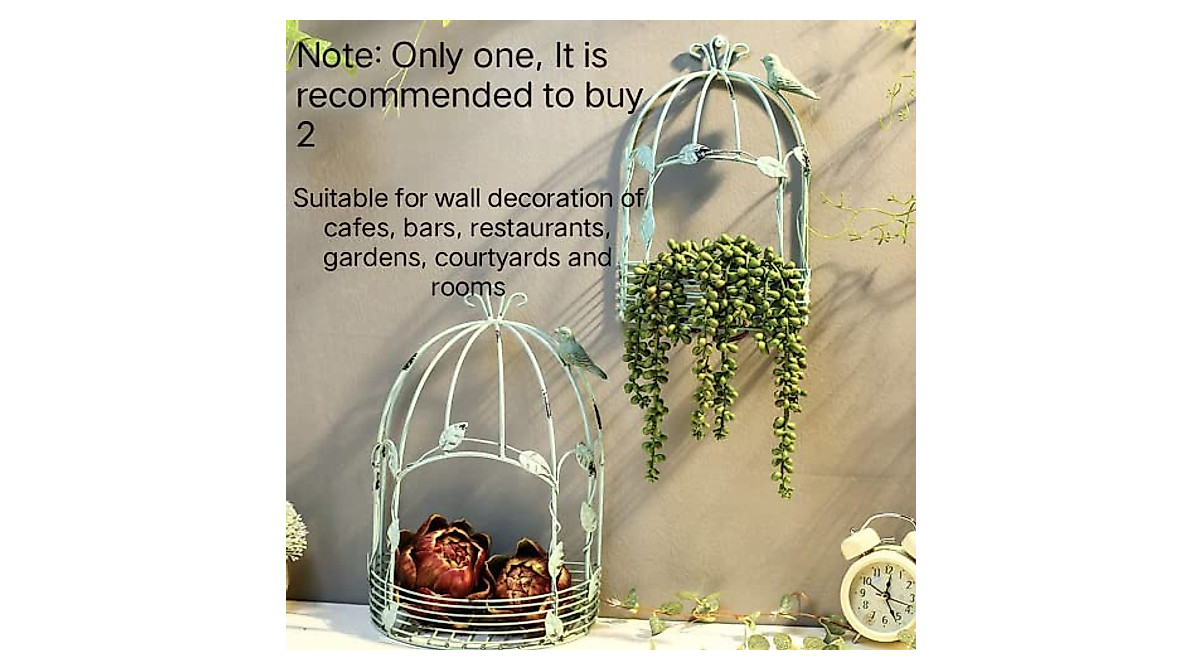Bird Cage Metal Floating Wall Shelf | Unique Art Decor