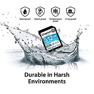 Kingston 256GB SDXC Canvas Go Plus 170MB/s Read UHS-I, C10, U3, V30 Memory Card (SDG3/256GB)