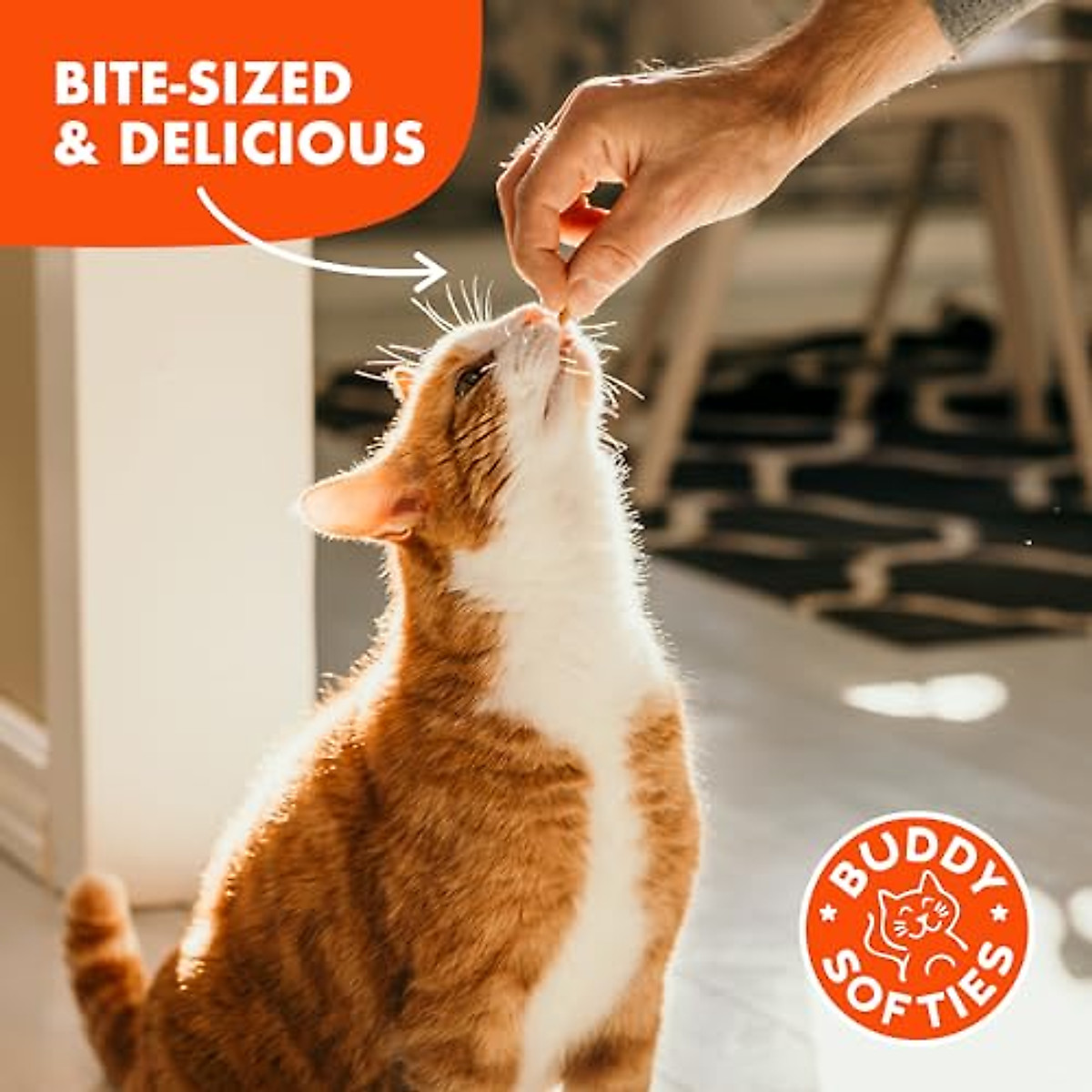 Buddy Biscuits 3 oz. Pouch of Grain Free Soft & Chewy Cat Treats Made with Natural Temping Tuna