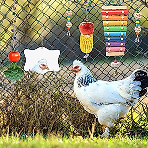 KAKUNM Chicken Toys for Coop 9PCS- Chicken Xylophone, Chicken Swing, Chicken Mirror, Chicken Flexible Ladder, Chicken Vegetable String Bag and Hanging Feeder