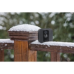 Protected by Blink Video Security Window Decals, Pack of 3