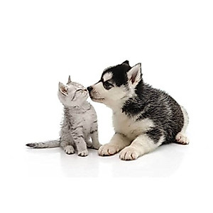 Calm Down Dog Treat - Premium Relaxant for Pets - Dogs and Cats - Anxiety Relief and Calmer - Treats - Dog Calming aid for Hyper Dog - 180 Treats (2 Bottle)