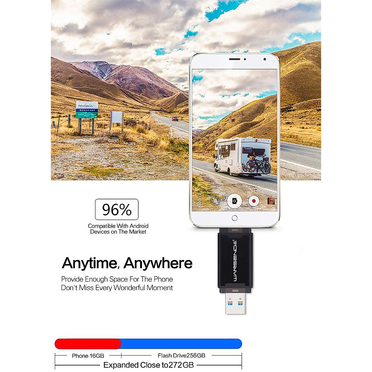 WANSENDA Type C USB C Flash Drive OTG USB 3.1 Thumb Drive (64GB, Black)