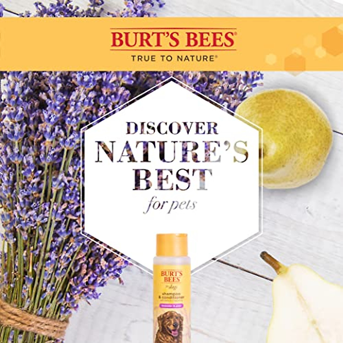 Burt's Bees for Dogs Lavender Pear Shampoo & Conditioner | 2-in-1 Dog Shampoo and Conditioner with 98.2% Natural Origin Ingredients | Lavender Pear Dog Shampoo & Conditioner Soothes and Softens Dogs