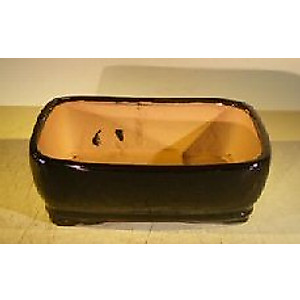 Bonsai Boy L186 8 x 6.25 x 2.5 in. Ceramic Bonsai Pot, Black - Rectangle