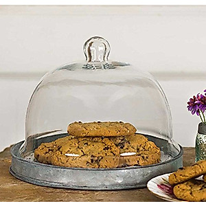 Industrial Glass Steel Medium Desert Cloche Dessert Cake Cover Display with Base