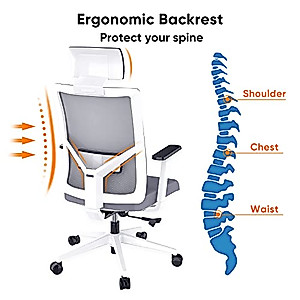 Season wind Ergonomic Office Chair, Mesh Home Office Desk Chairs Big and Tall Computer Chair Swivel Executive Chair with Wheels Heavy People Adjustable Armrest High Back Lumbar Support Headrest Grey