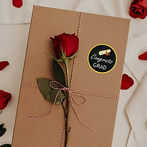 240 Pcs Graduation Stickers,2023 Graduation Cap Stickers,Self-Adhesive Grad Labels Stickers for College Graduation Hat Party Envelopes Decor Scrapbooking Supplies (240 Pcs)