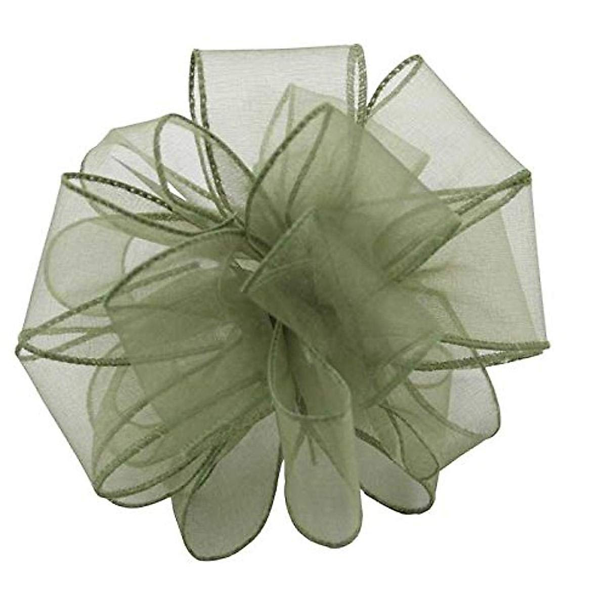 Berwick Offray ISK-009-50-BAB Basil Wired Edge Ribbon