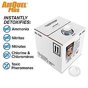 KORDON #33475 AmQuel Plus Water Treatment, 5-Gallon