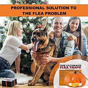 Qualirey 4 Pieces Flea Traps with 8 Sticky Disc 12 Bulbs 4 Electric Wires Pumpkin Flea Traps for Inside Your Home Safe Flea Light Trap for Indoor Safe to Pets