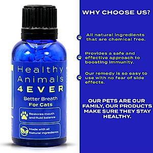 HealthyAnimals4Ever Bad Breath for Cats Pellets - Dissolvable - No Brushing - for Clean Teeth, Plaque & Tartar Control - All-Natural, Non-GMO, Organic - Preservative & Chemical Free - 300 ct