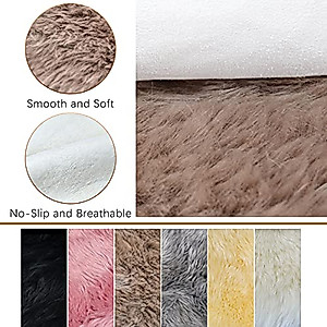 OKAYDA Genuine New Zealand Sheepskin Area Rug Soft Lambskin Decorative Rug for Bedroom Sofa Floor One Pelt