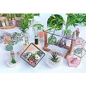 LAIDANLA Rose Quartz Crushed Stone Crystal Chips Bulk Natural Gemstones Healing Reiki Crystals Mini Quartz Vase Filler Aquarium Gravel 100g