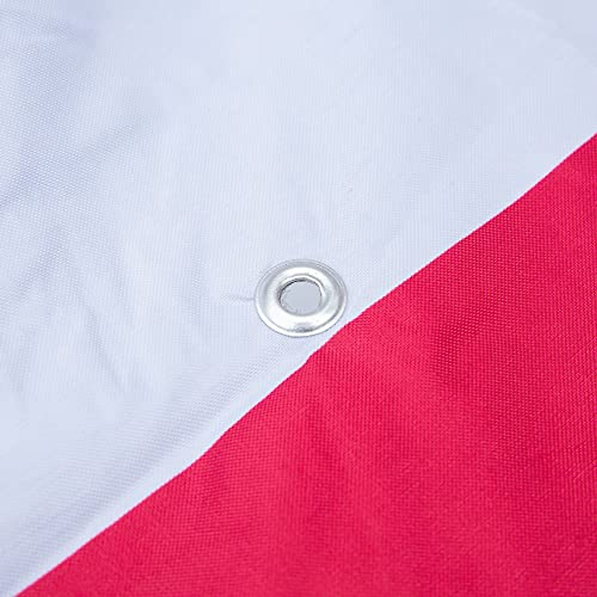 Outsunny 10' x 10' Pop Up Canopy Tent with Netting and Portable Carry Bag, Instant Sun Shelter, Tents for Parties, Height Adjustable, for Outdoor, Garden, Patio, American Flag