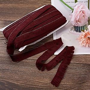 KISSITTY 27 Yards Tassel Fringe Trim 1 Inch Polyester Fibre Lace Trim Ribbon for Sewing Dress Clothing DIY Craft Home Decoration, Coconut Brown