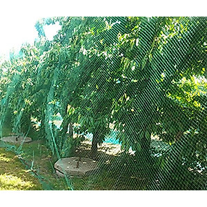 CandyHome Bird Netting for Garden,13Ft x 33Ft Reusable Garden Netting Plants Barrier, Plant Netting Mesh Net Protect Fruit Trees Seedlings Plants from Birds, Squirrels, Cicadas,Rodents