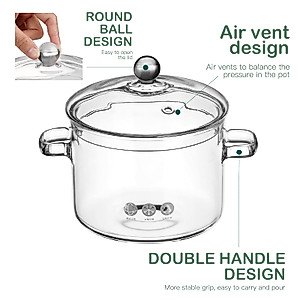 ERINGOGO Glass Cooking Pot with Lid, 1900ml/ 64 Oz Glass Saucepan Heat Resistant Borosilicate Stovetop Pot Simmer Stockpot with Cover for Soup, Milk, Baby Food