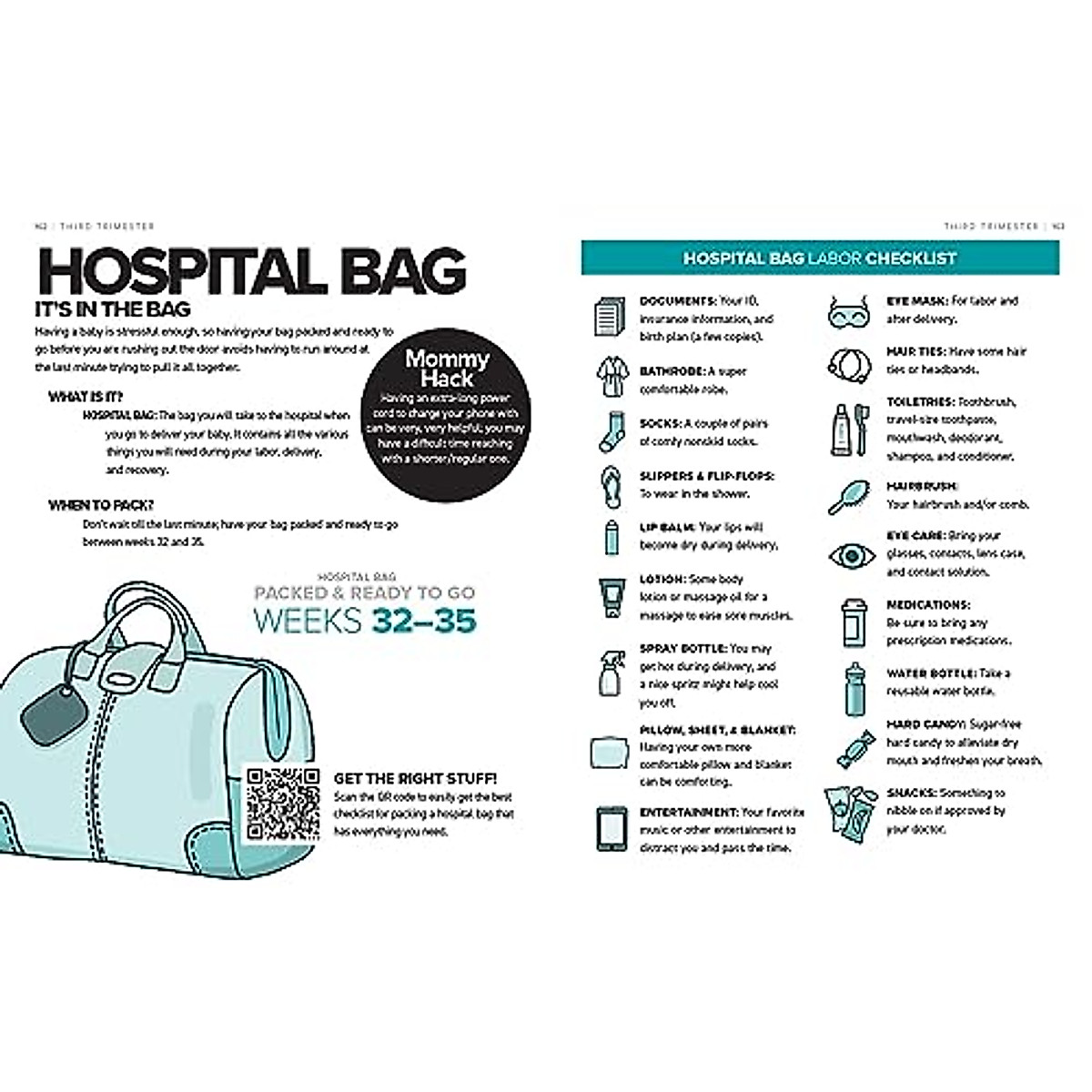 The Simplest Pregnancy Book in the World: The Illustrated, Grab-and-Do Guide for a Healthy, Happy Pregnancy and Childbirth