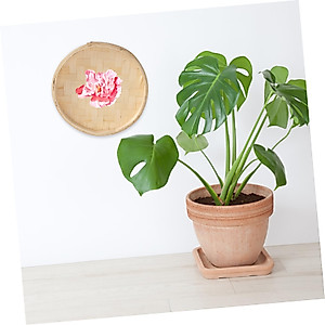 JEWEDECO Desk Topper 3pcs Bamboo Dustpan Wicker Bamboo Sieve Tablescape Decor