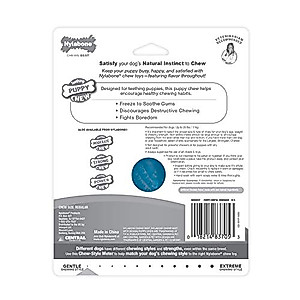Nylabone Dental Dinosaur Puppy Chew Toy - Puppy Chew Toy for Teething - Puppy Supplies - Chicken Flavor, Small/Regular (1 Count)